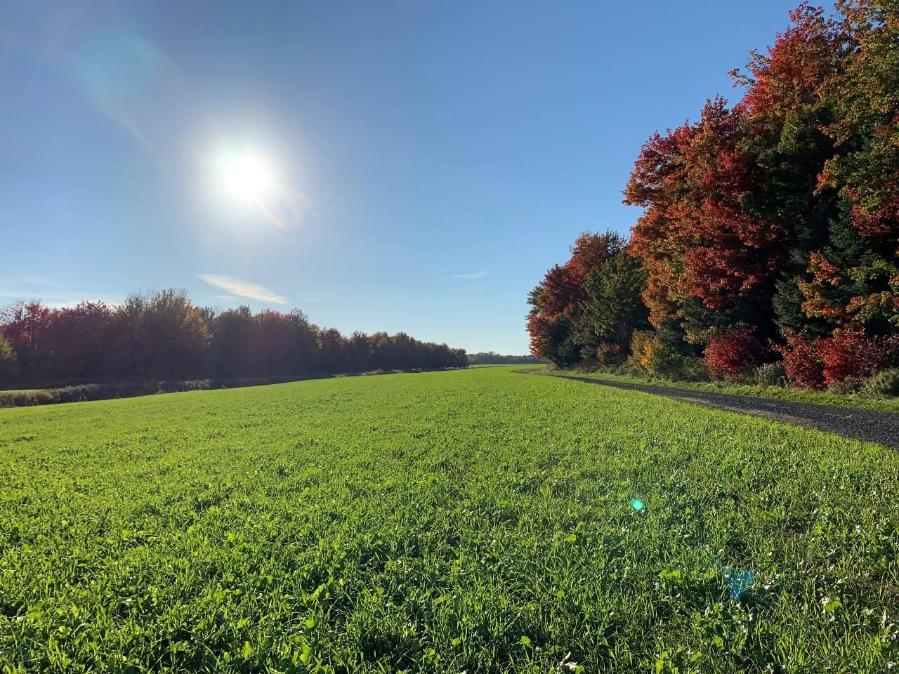 IMPLANTATION DE PRAIRIES : LES PRÉLIMINAIRES - Agri-Nouvelles